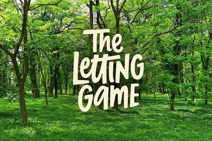 A green letting agent striving to do more | The Letting Game